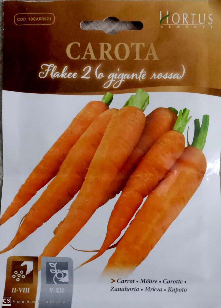 Carrot Seeds - Green Experts Landscape LLC