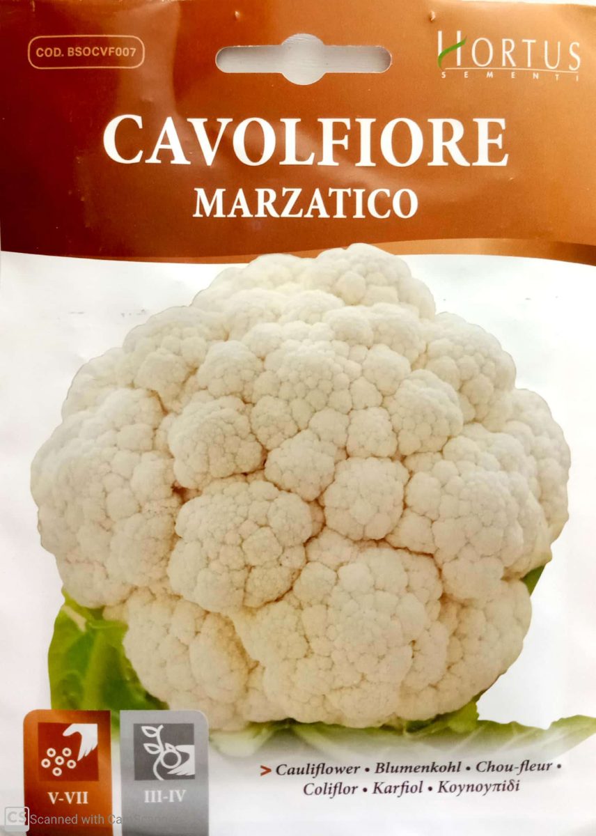 Cauliflower Seeds - Green Experts Landscape