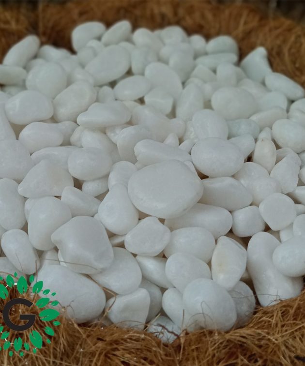 Pebble Online Store, Garden Pebbles Dubai, Pebble Stone Supplier Dubai ...