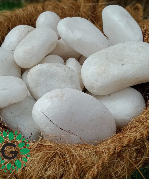 Pebble Online Store, Garden Pebbles Dubai, Pebble Stone Supplier Dubai ...