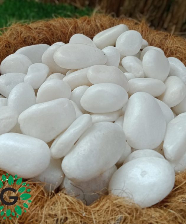 Pebble Online Store, Garden Pebbles Dubai, Pebble Stone Supplier Dubai ...