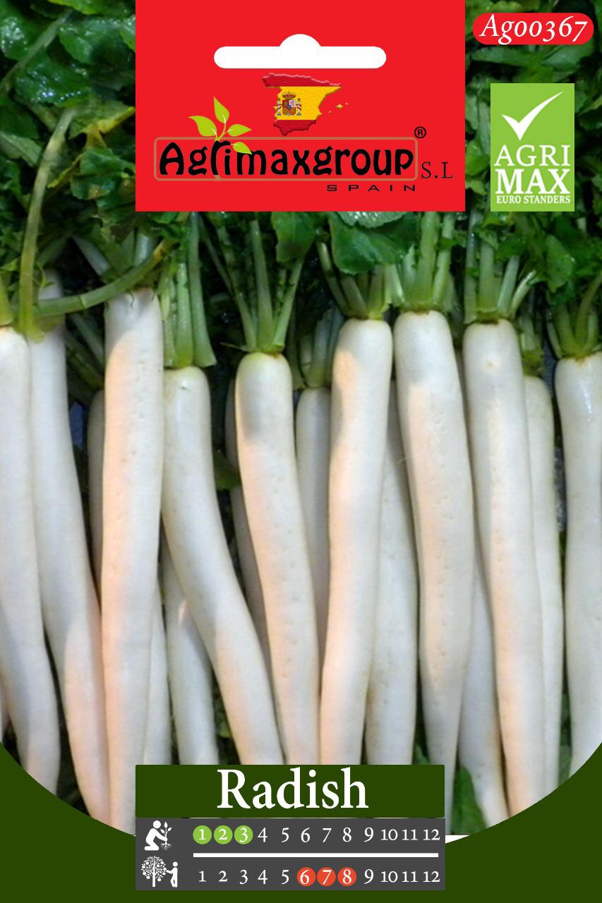 Radish Seeds - Green Experts Landscape LLC