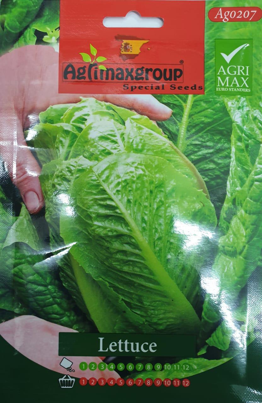 Lettuce Seeds - Green Experts Landscape LLC