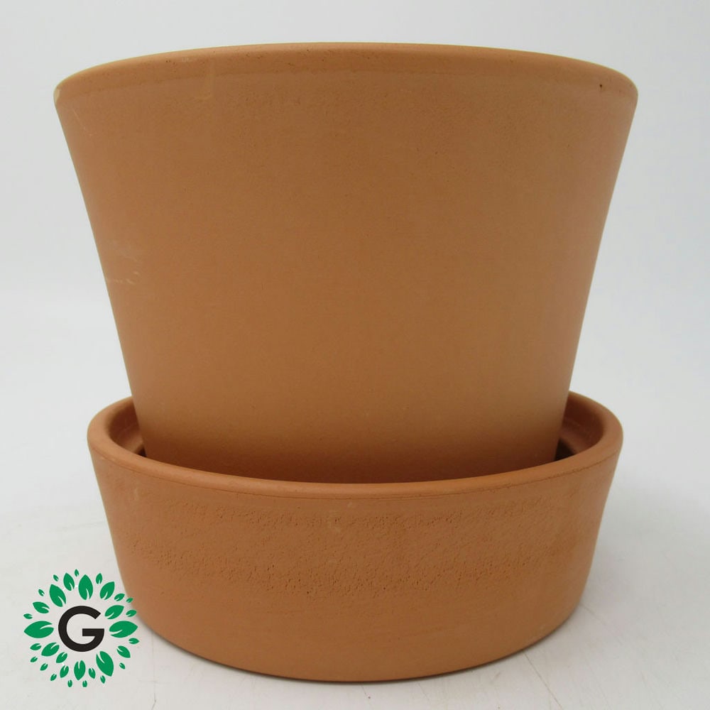 Clay pot - Green Experts Landscape LLC